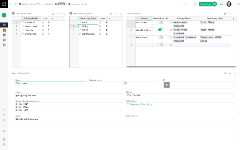 Expert Witness Database Template | Grist
