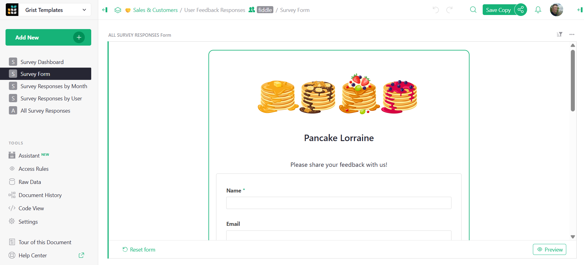 Survey Results Template Template | Grist
